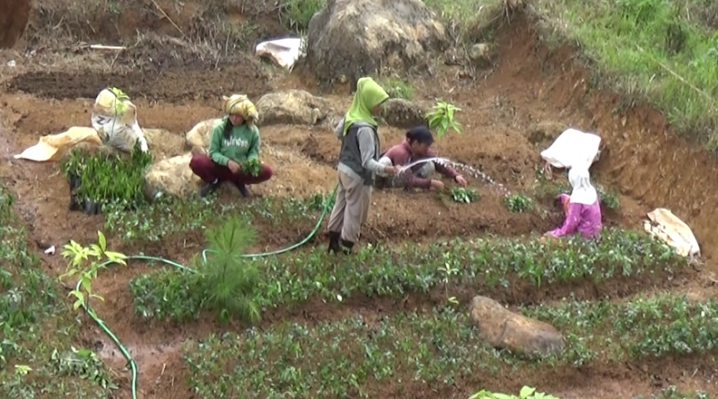 Strategi Pendampingan Keluarga Petani: dari Peasant Menuju Farmer ... Strategi Pendampingan Keluarga Petani: dari Peasant Menuju Farmer ...
