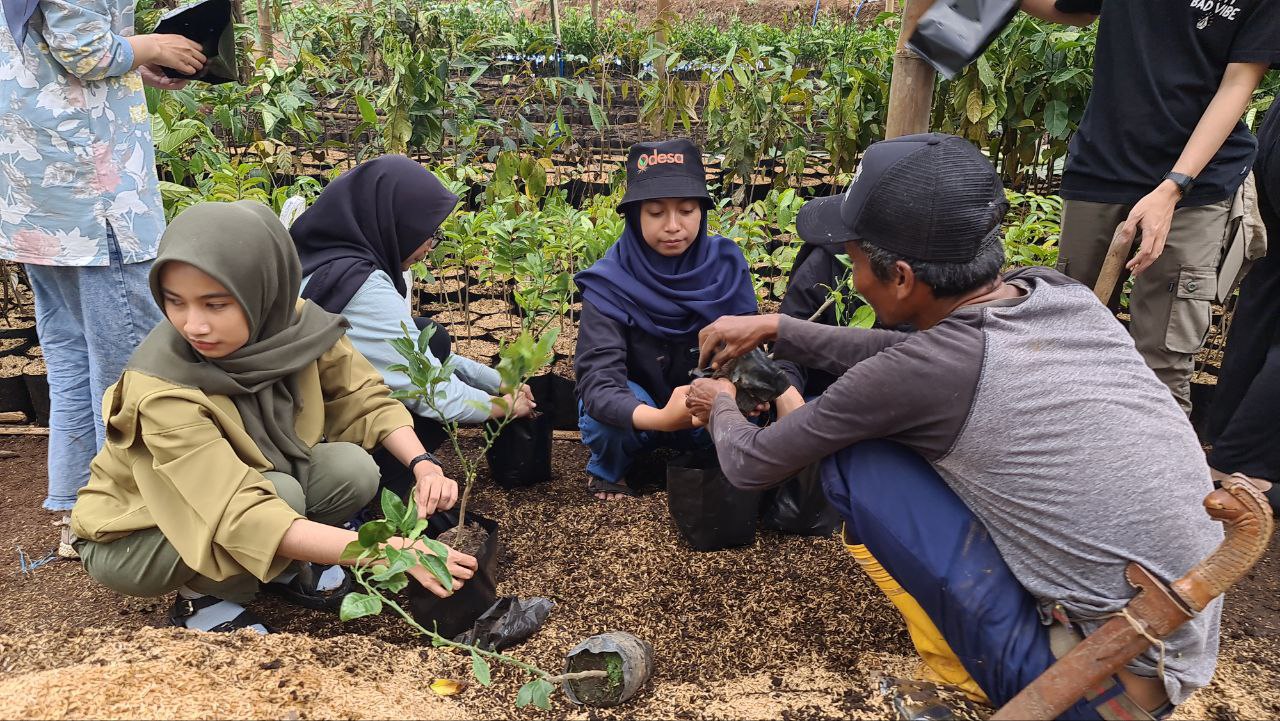 6 Manfaat Belajar Pertanian Untuk Gen Z - Odesa Indonesia